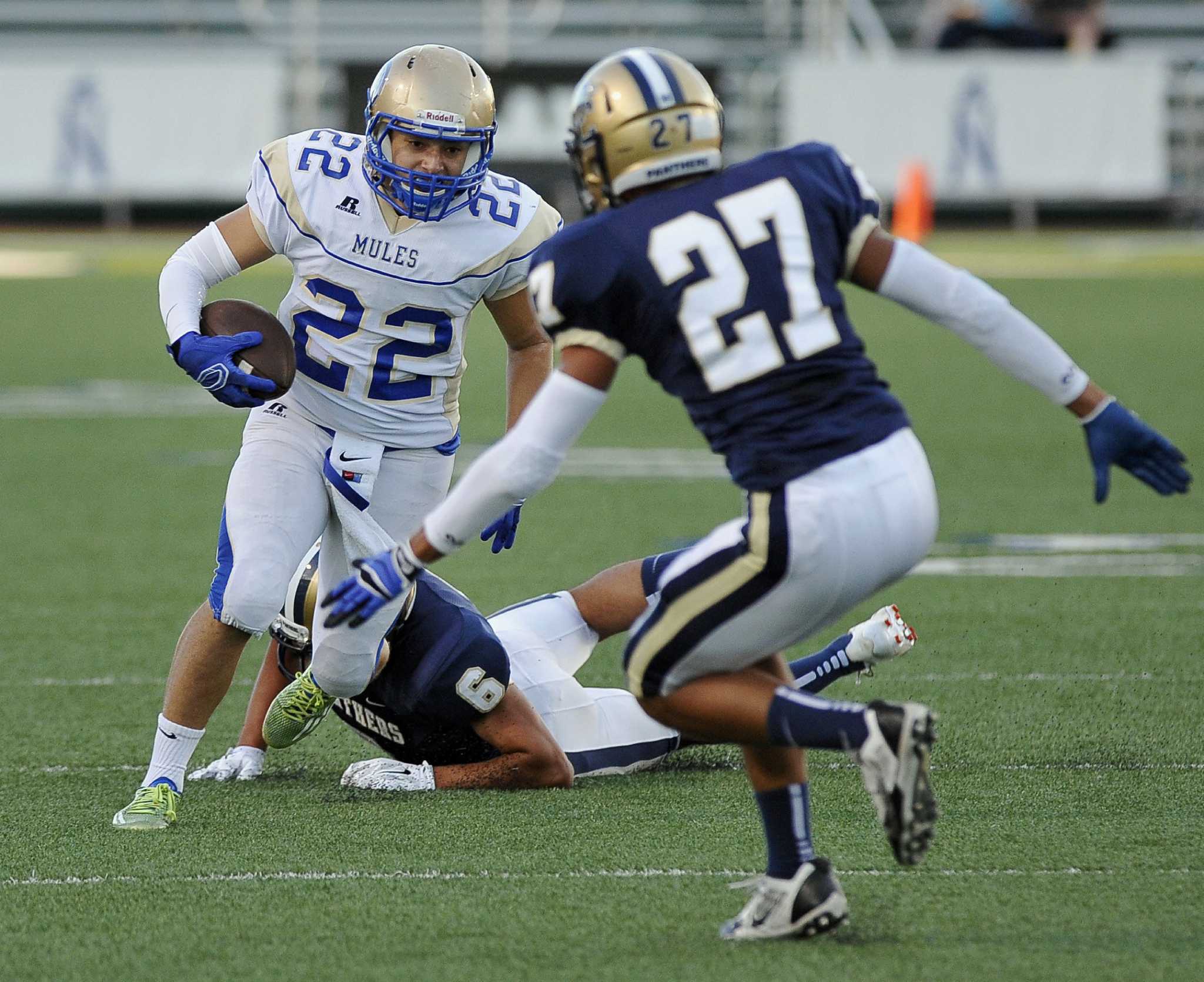 Sports recap: Mules can't match Panthers