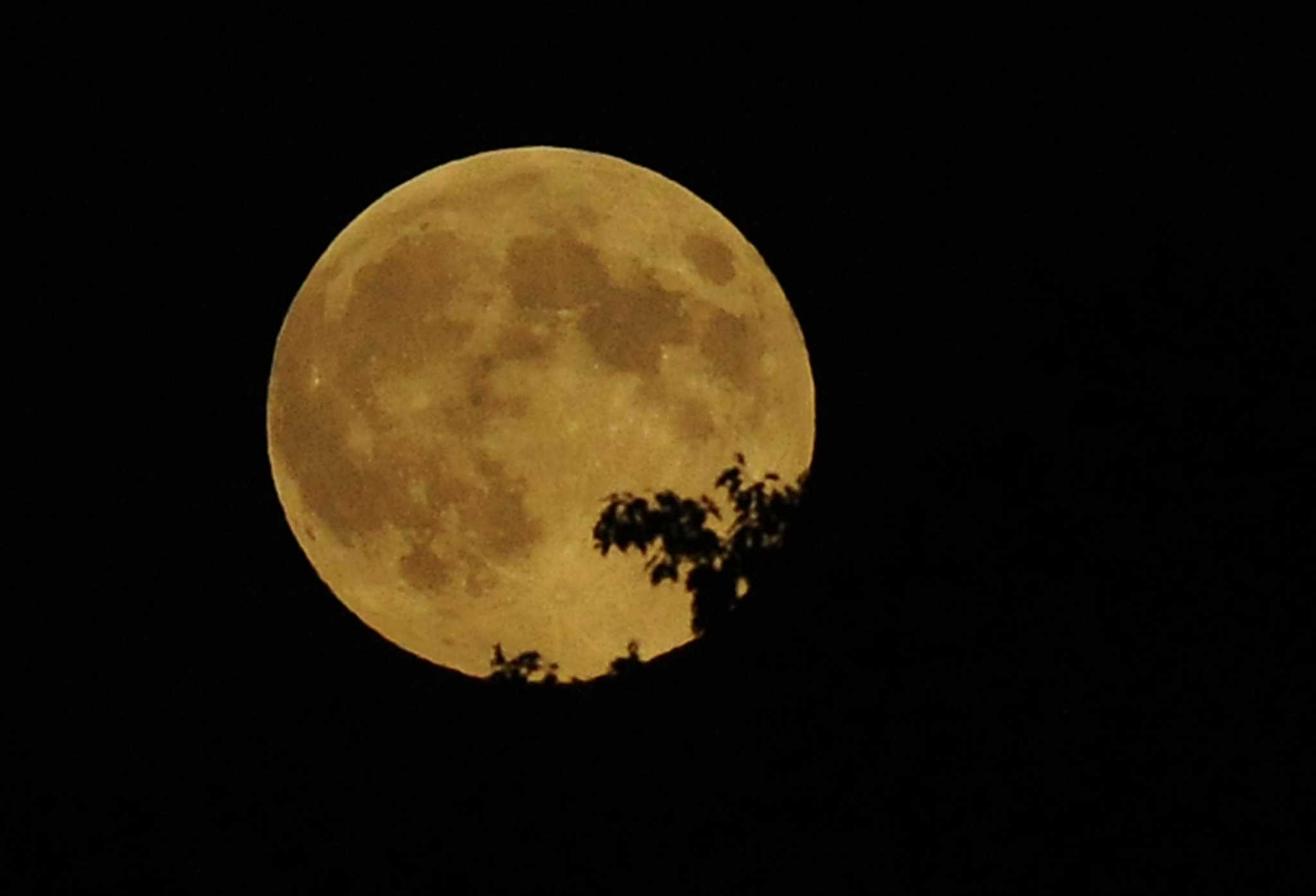 Photos: Harvest moon glows in the sky