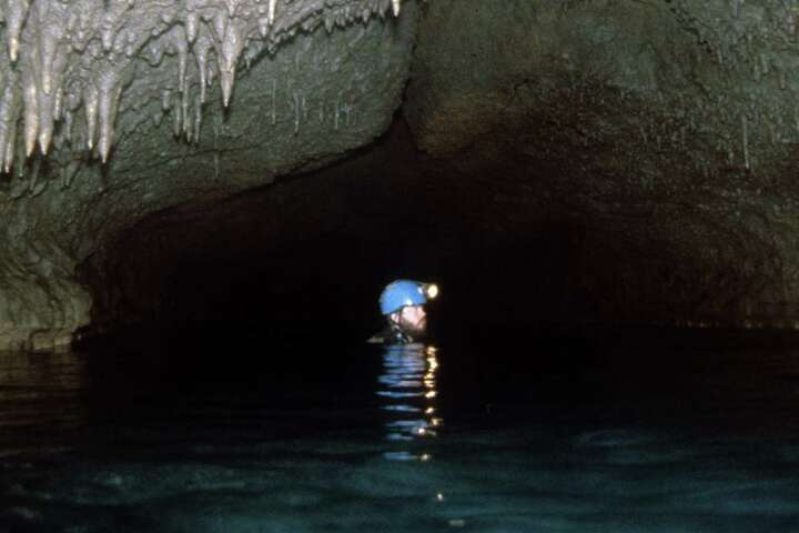 Honey Creek Cave