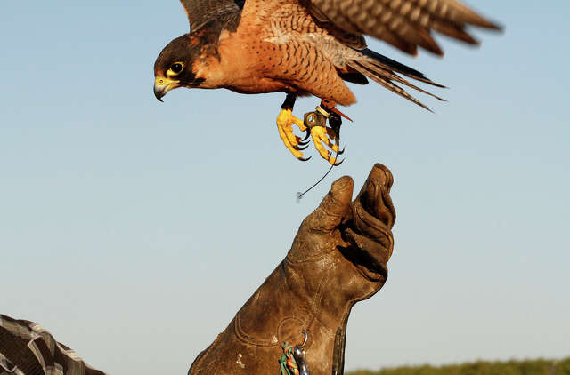 In one big vineyard, a world of its own