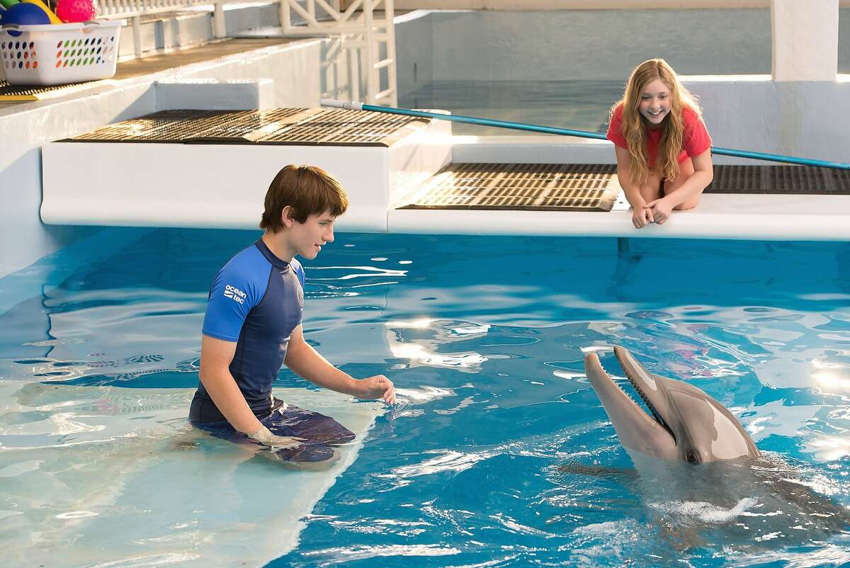 Movie review: 'Dolphin Tale 2' is sweet, but story is lacking