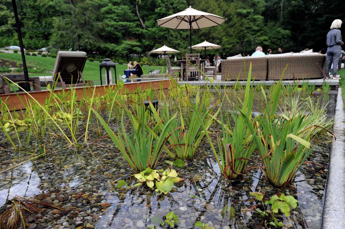Eco pools, popular in Europe, come across the pond
