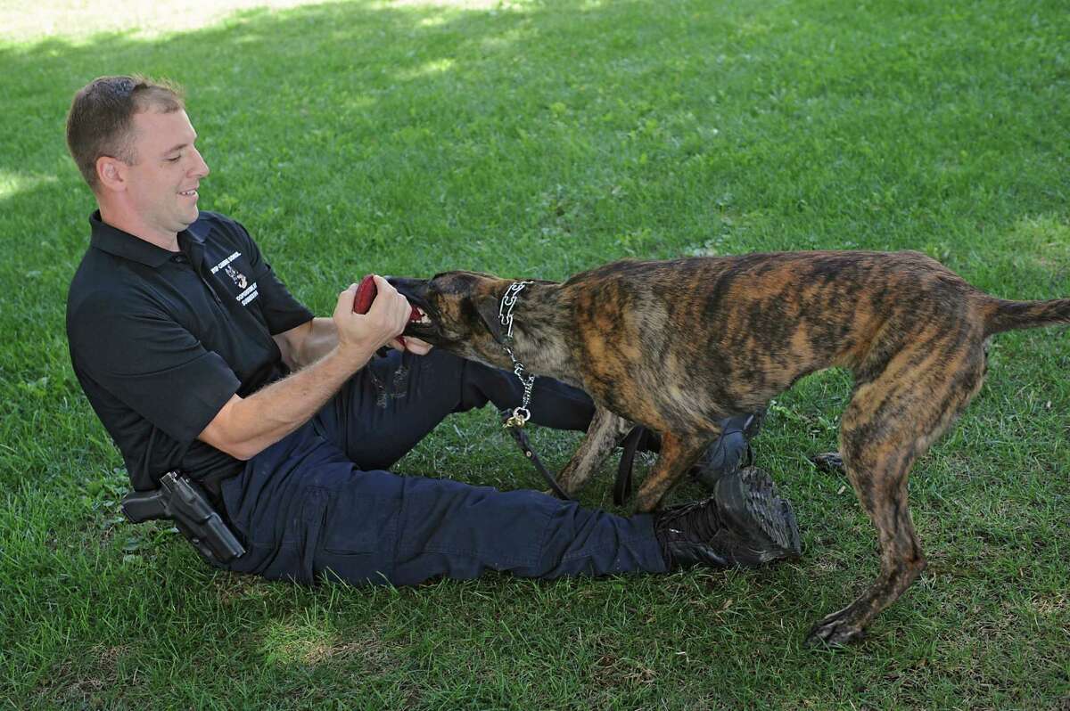 Photos, video: Troopers, dogs train at Empire State Plaza