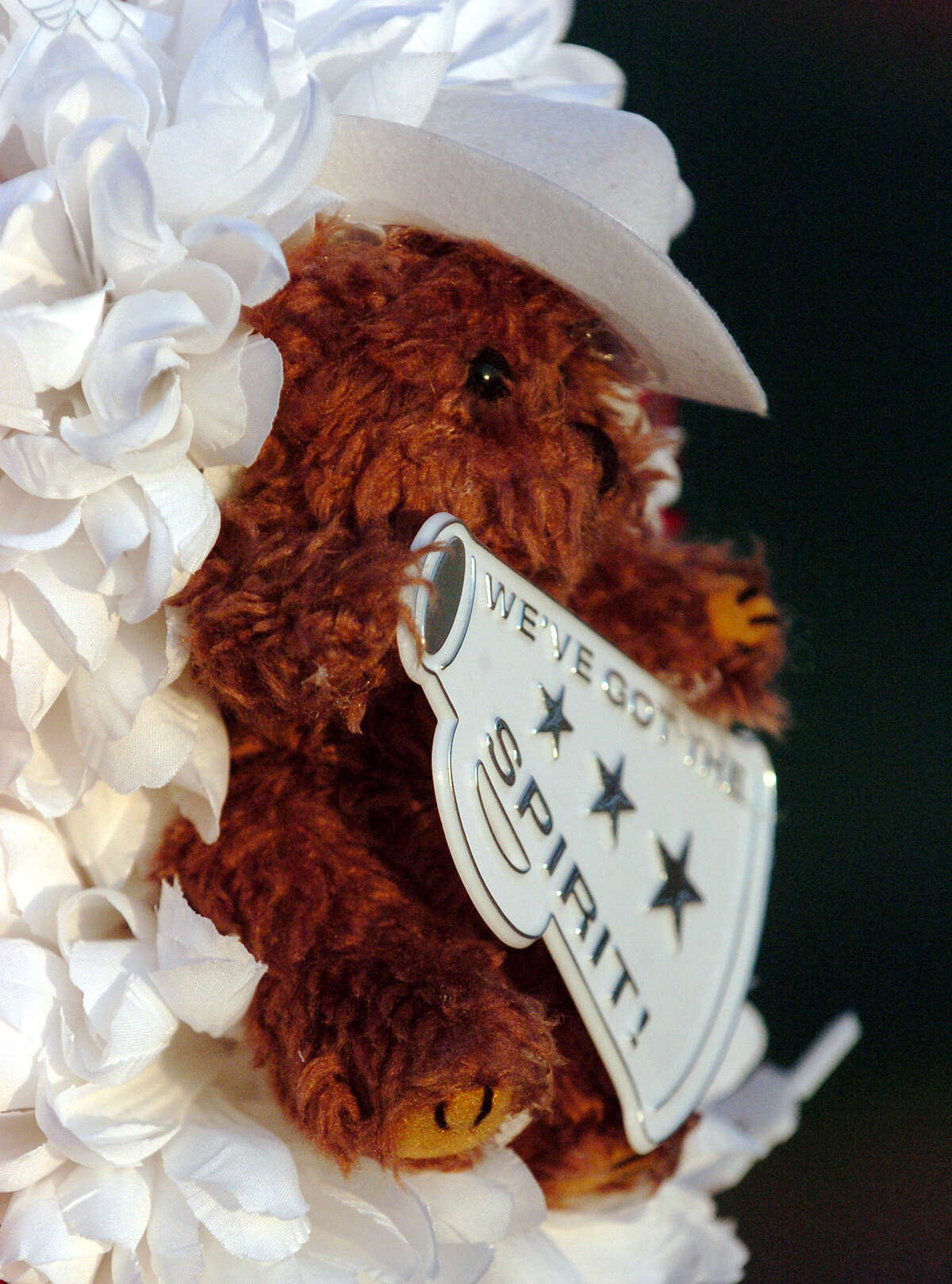 A DIY guide to making your own mums