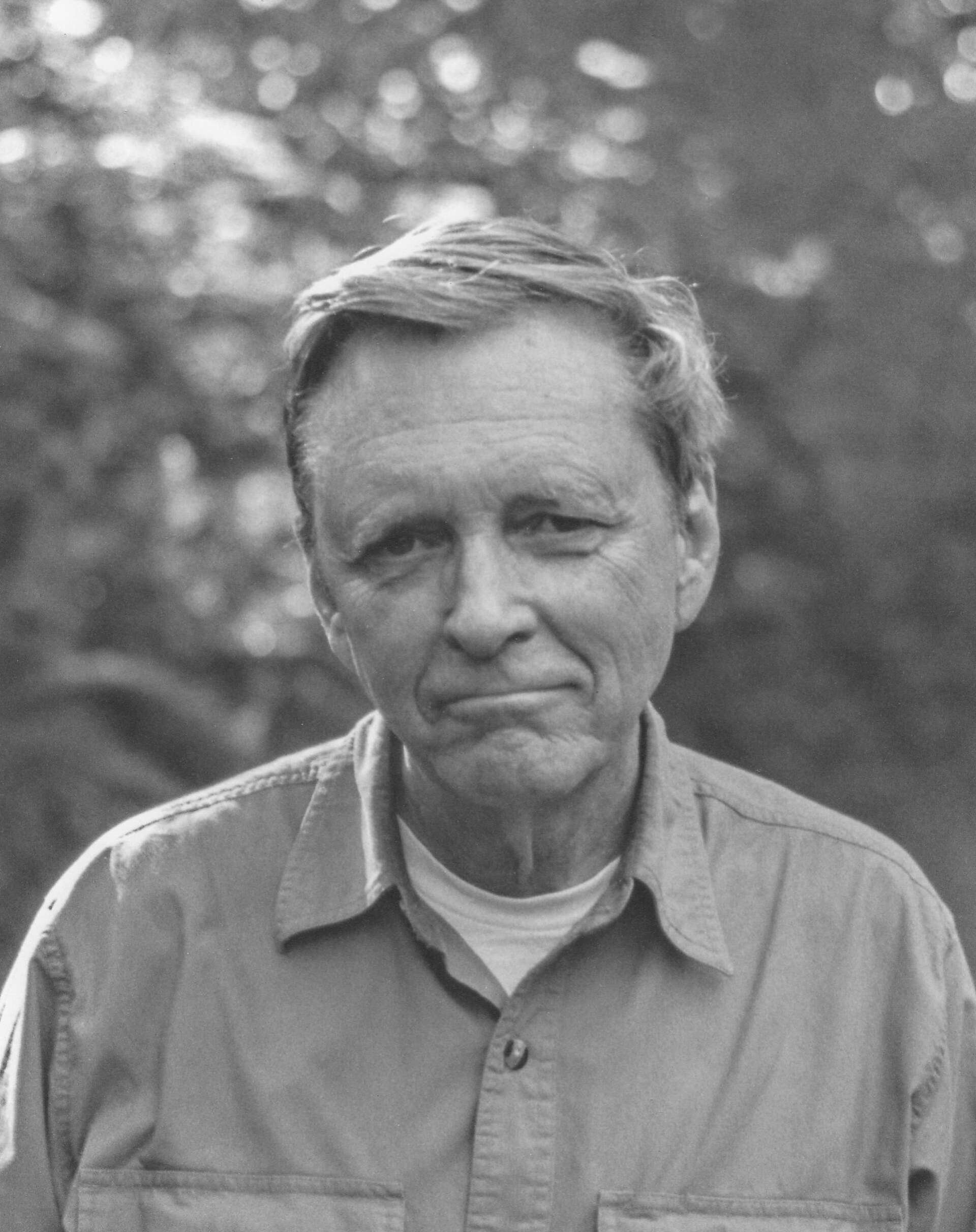 Robert Adams' healing images of 'A Road Through Shore Pine'