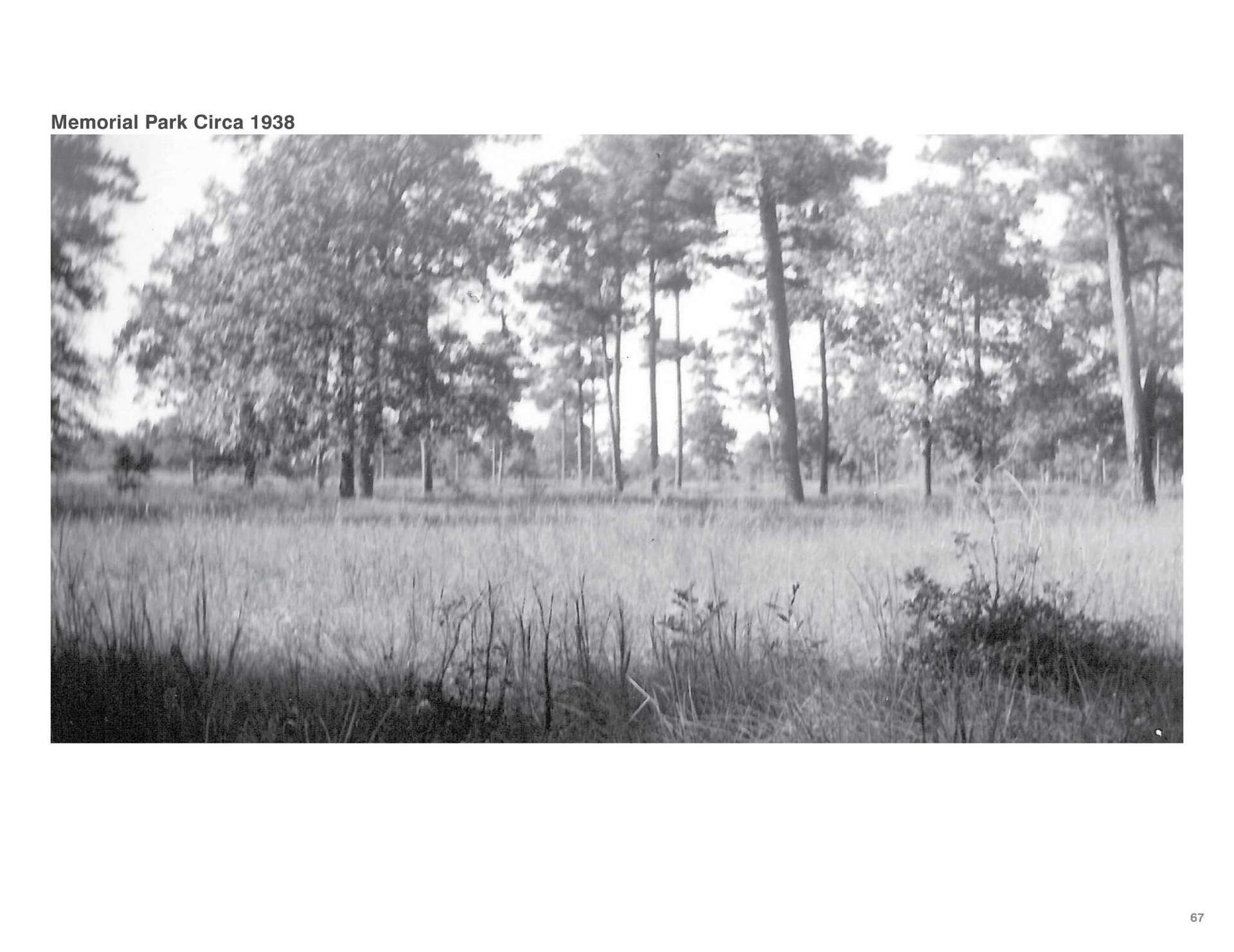 Memorial Park proposal bridges history and ecology