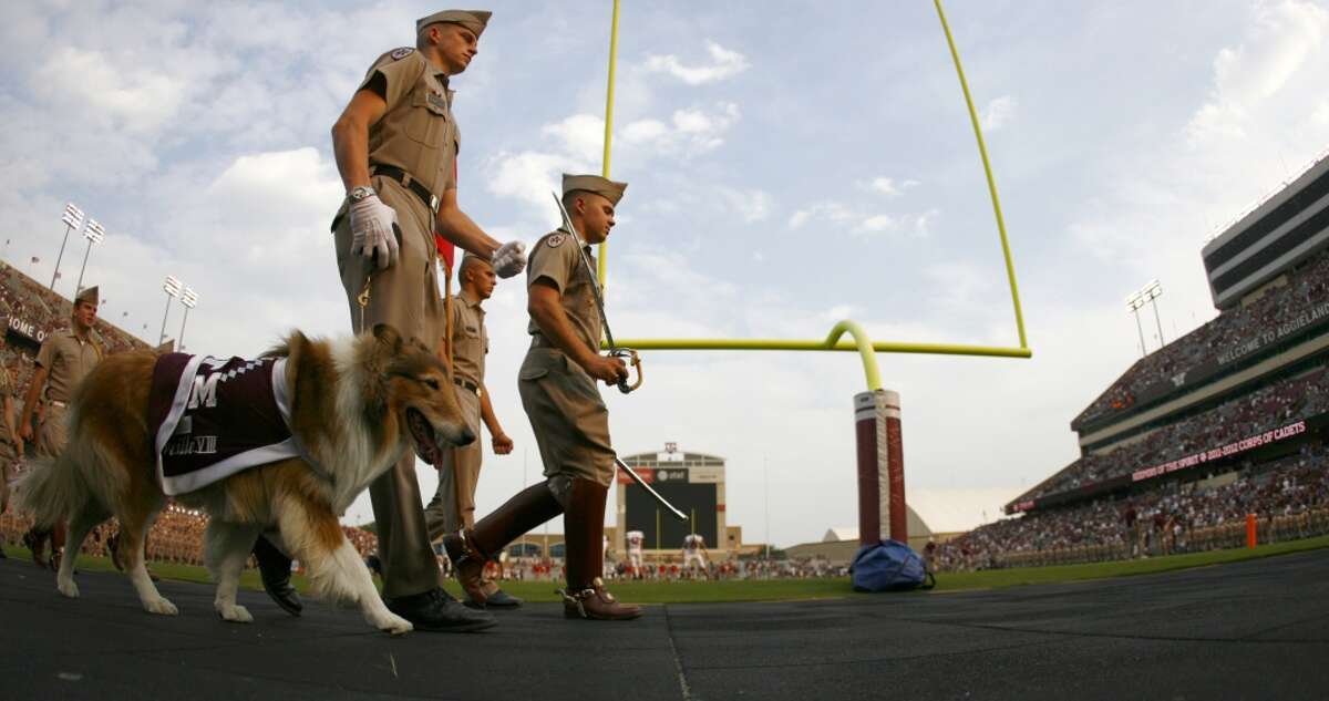 Collie from Ohio to serve as Texas A&M's next mascot