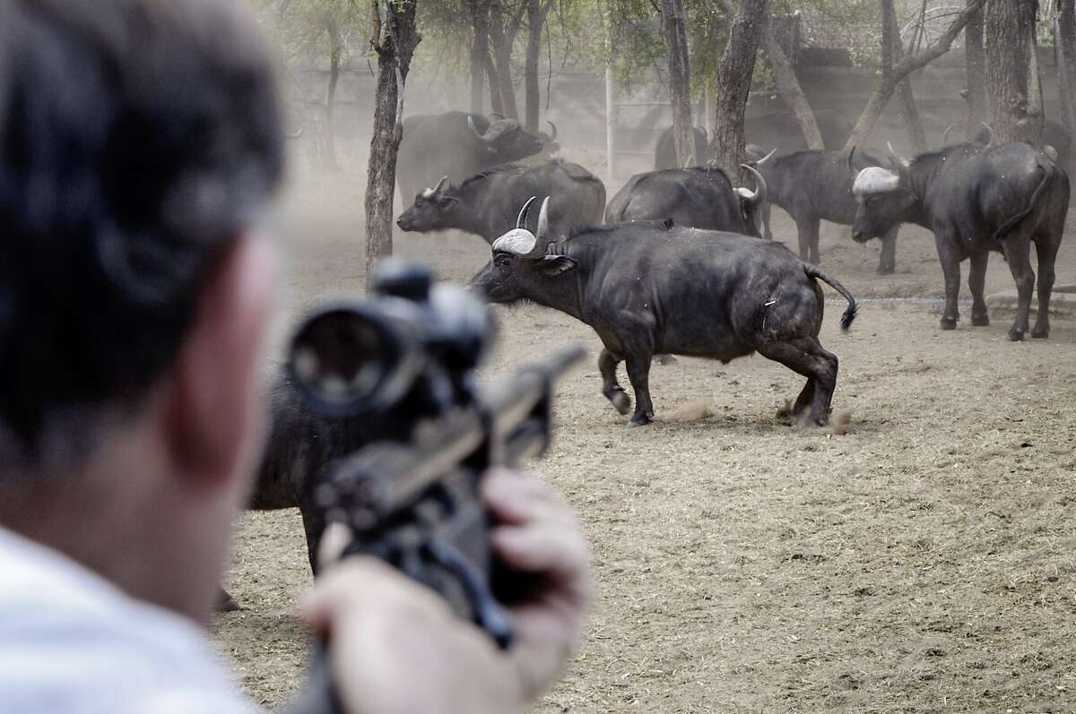 Day in Pictures, Sept. 23, 2014