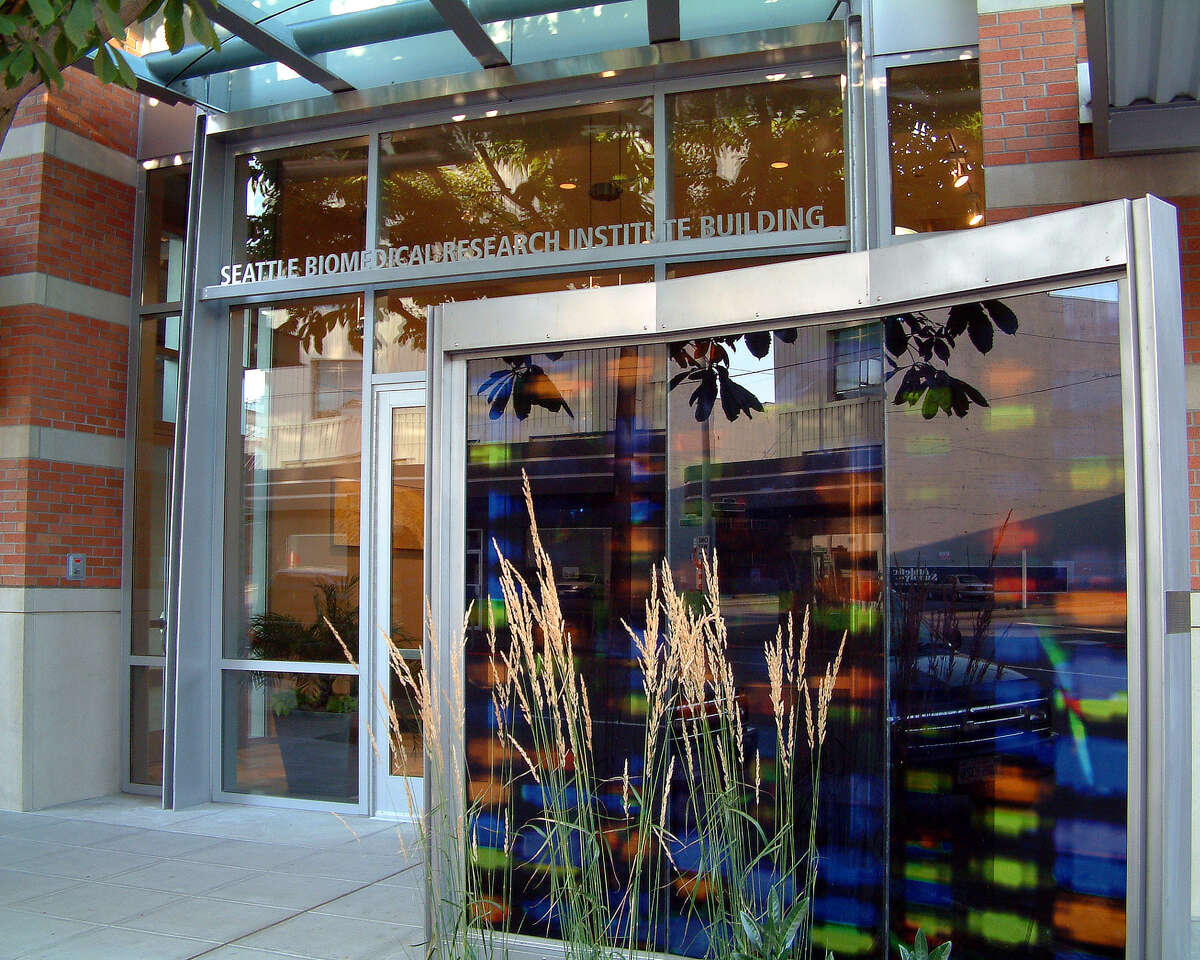 Noted artist creates glass canopy for SLU