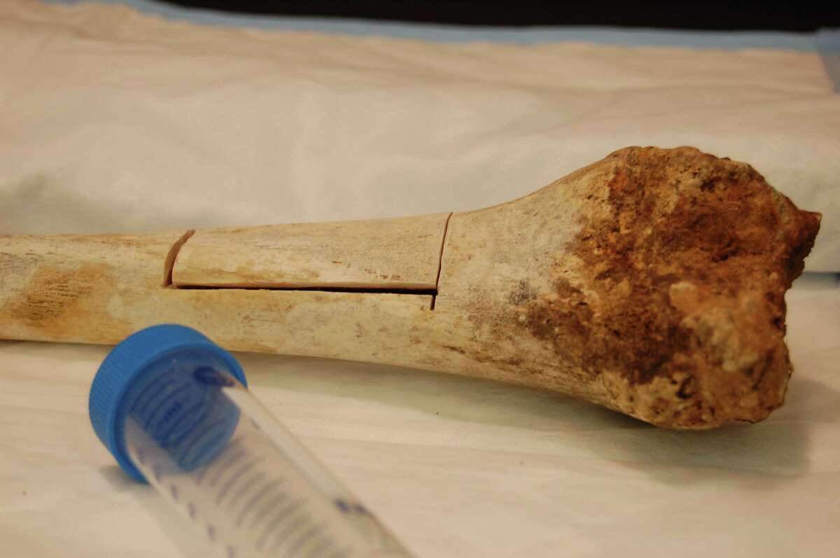 Texas researchers ID bones of boys killed at deadly reform school