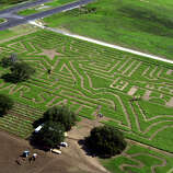 Get lost in a giant South Texas maze made of corn - San Antonio Express ...