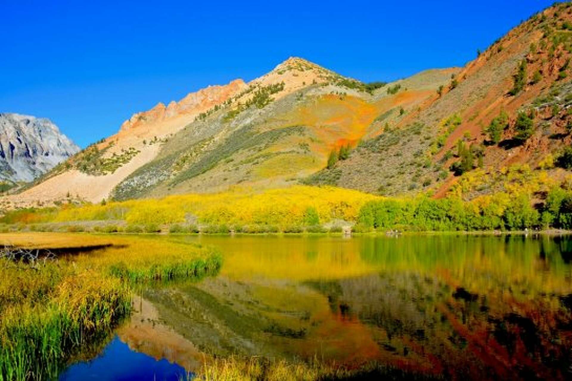 19 fun ways to celebrate fall in California