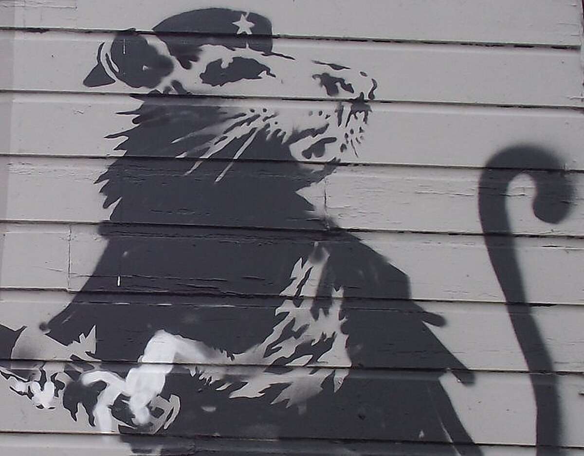 Spray-painted Banksy rat finds new audience in 'enemy territory’