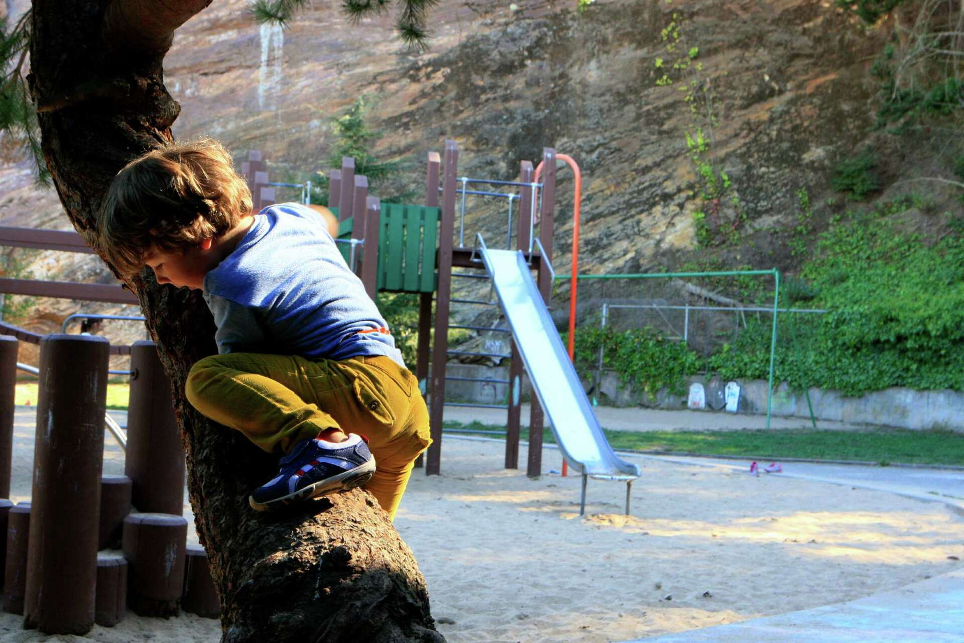 Peixotto Playground hidden in plain sight