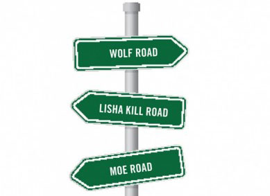 How Albany's streets got their names