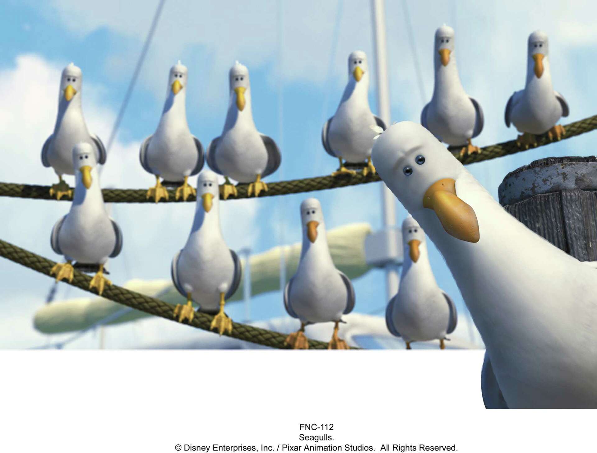 finding nemo bird name