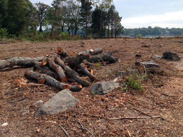 Darien board, neighbors angered by clear-cut swath of trees on ...