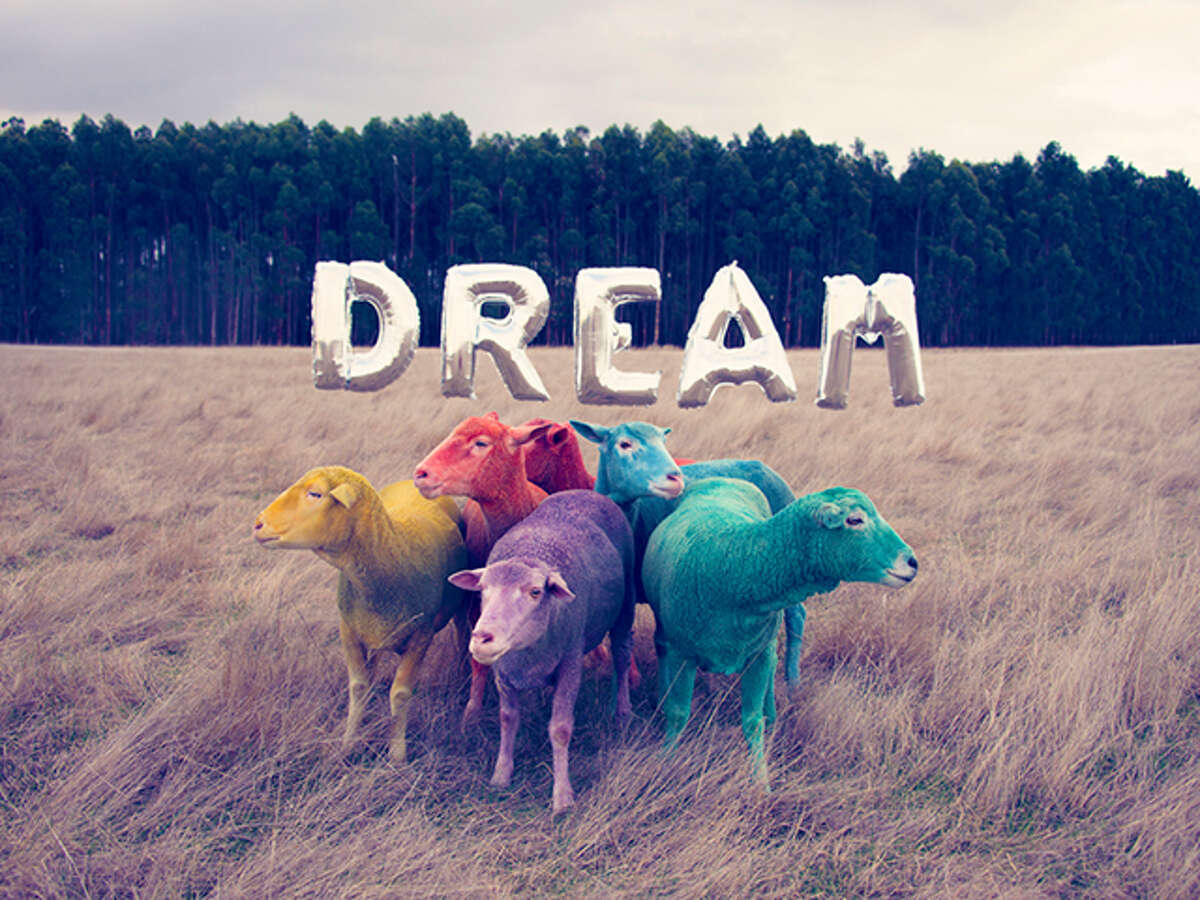 This dreamy flock of rainbow sheep is 100 percent real