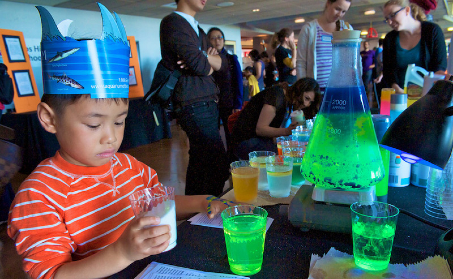 Bay Area Science Festival