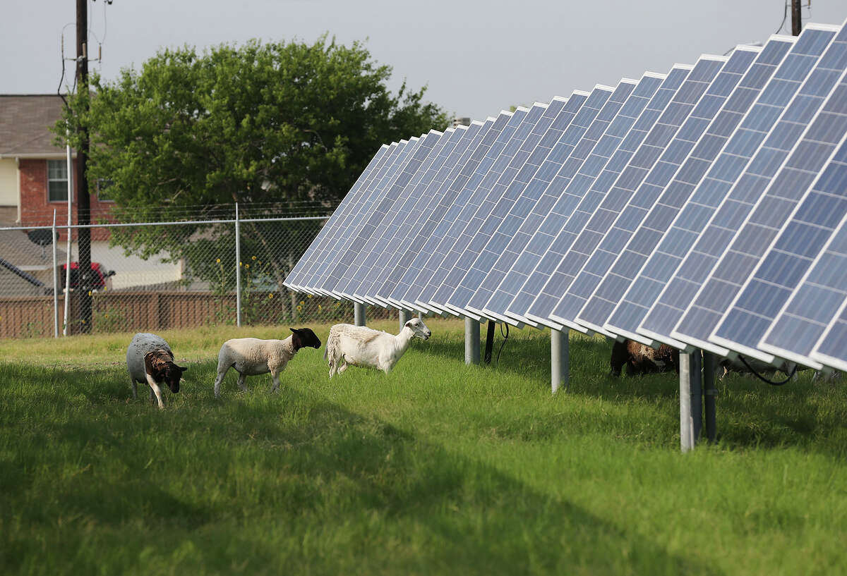 OCI sells Alamo 6 solar farm for $385 million