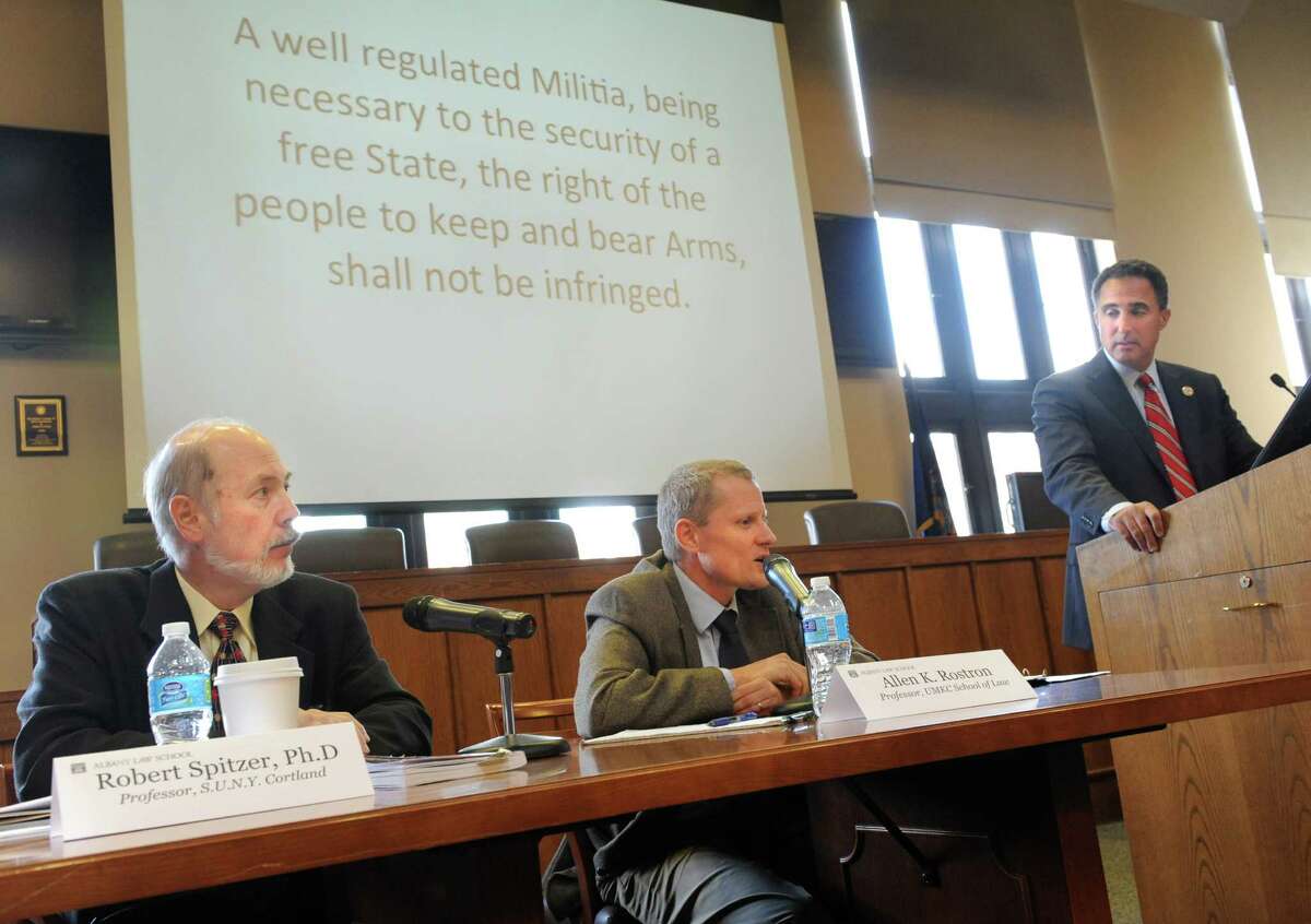 Panel debates NY SAFE Act