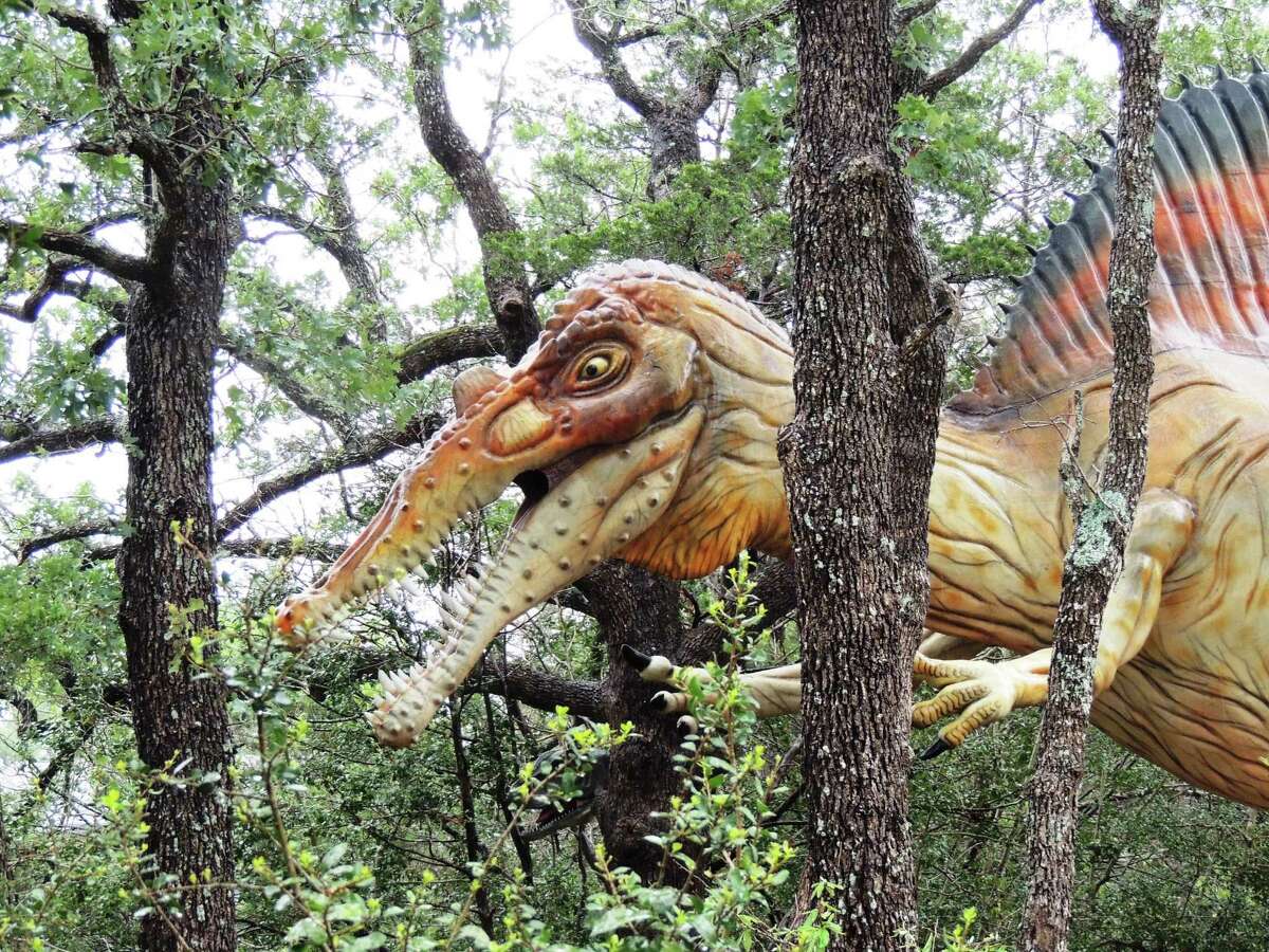 10 facts about extinction