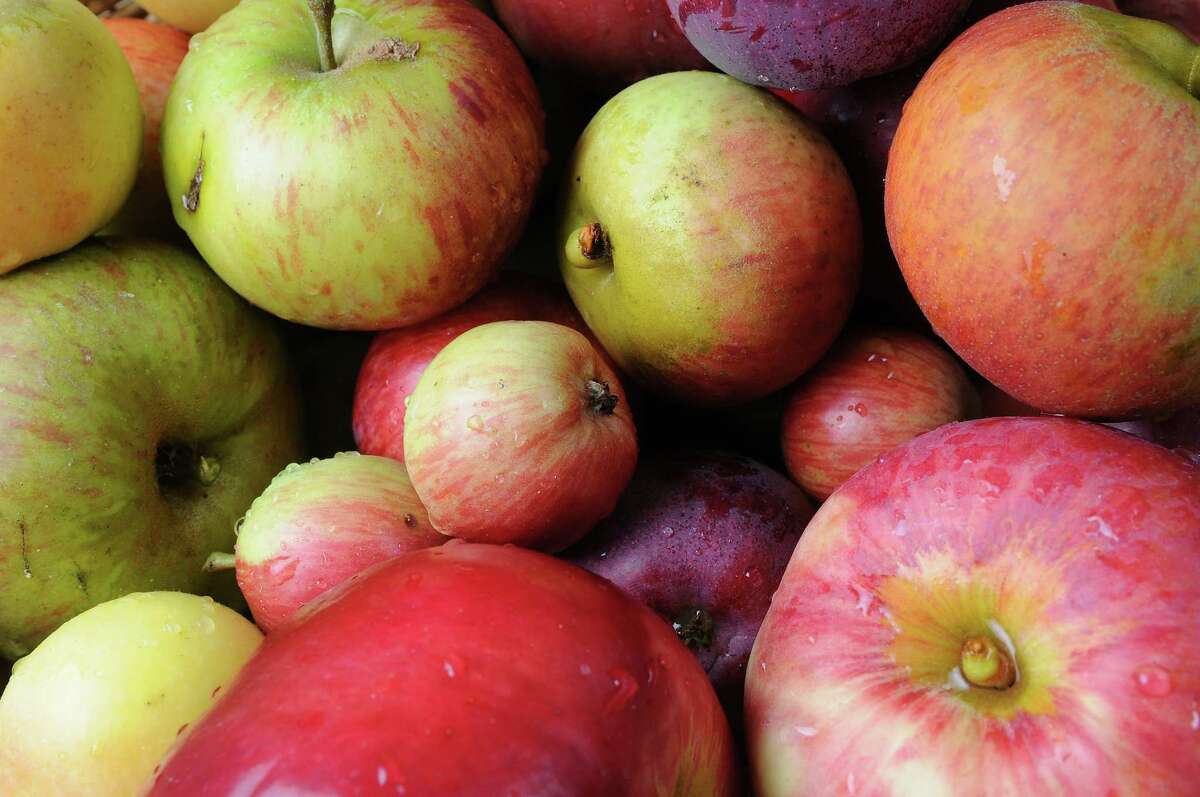 Weekend in Monterey: Heritage apple tasting