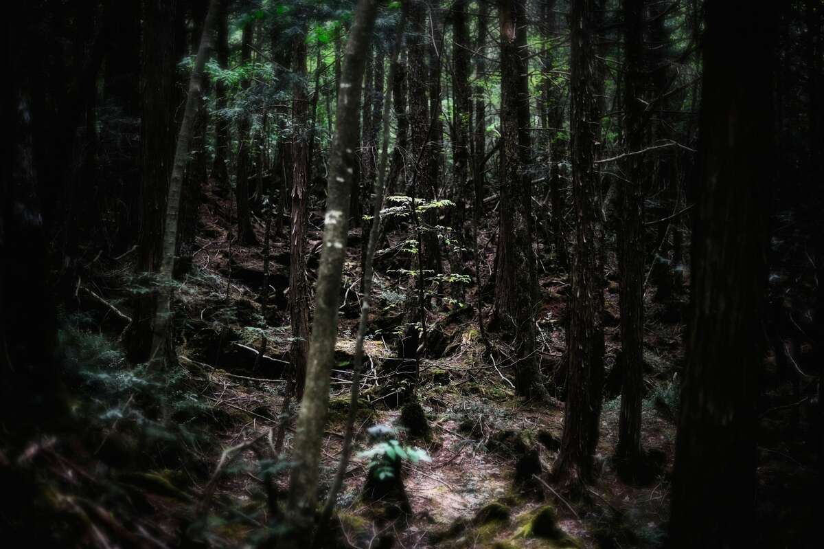 World's creepiest attractions