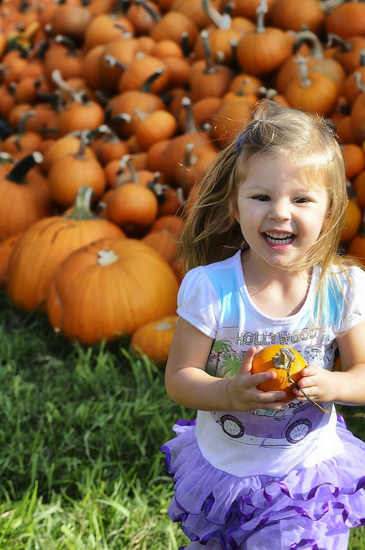 Day in Pictures, Oct. 14, 2014