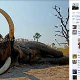 Jimmy John's CEO under fire in new lawsuit - San Antonio Express-News