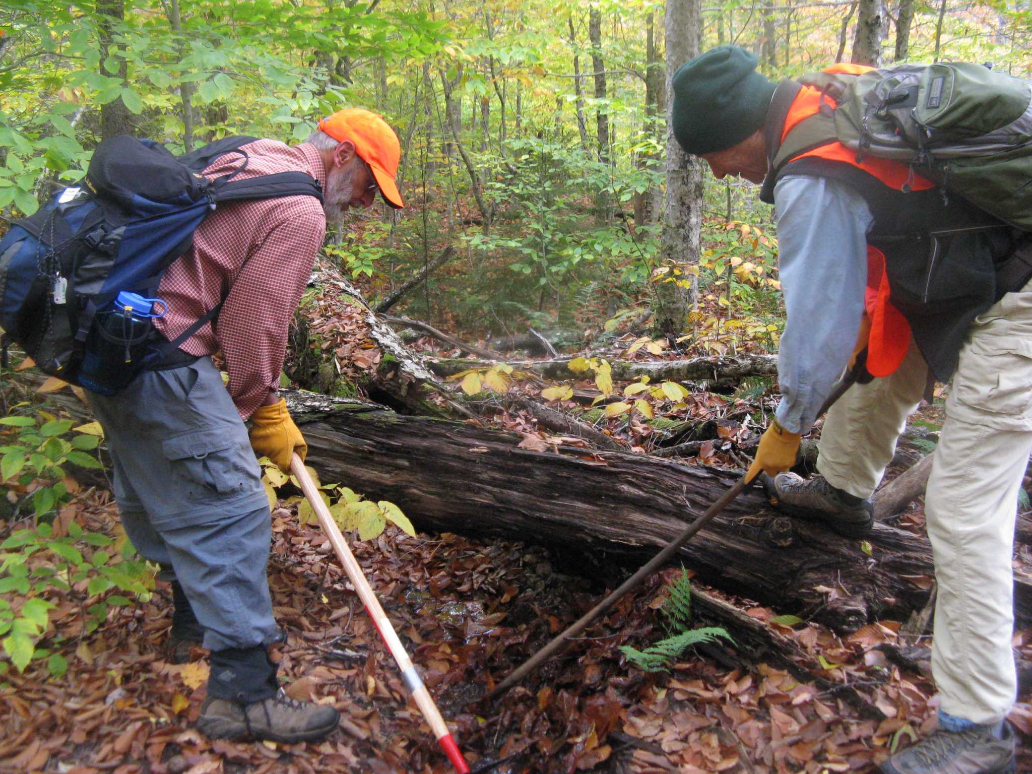 Trail maintenance a labor of love