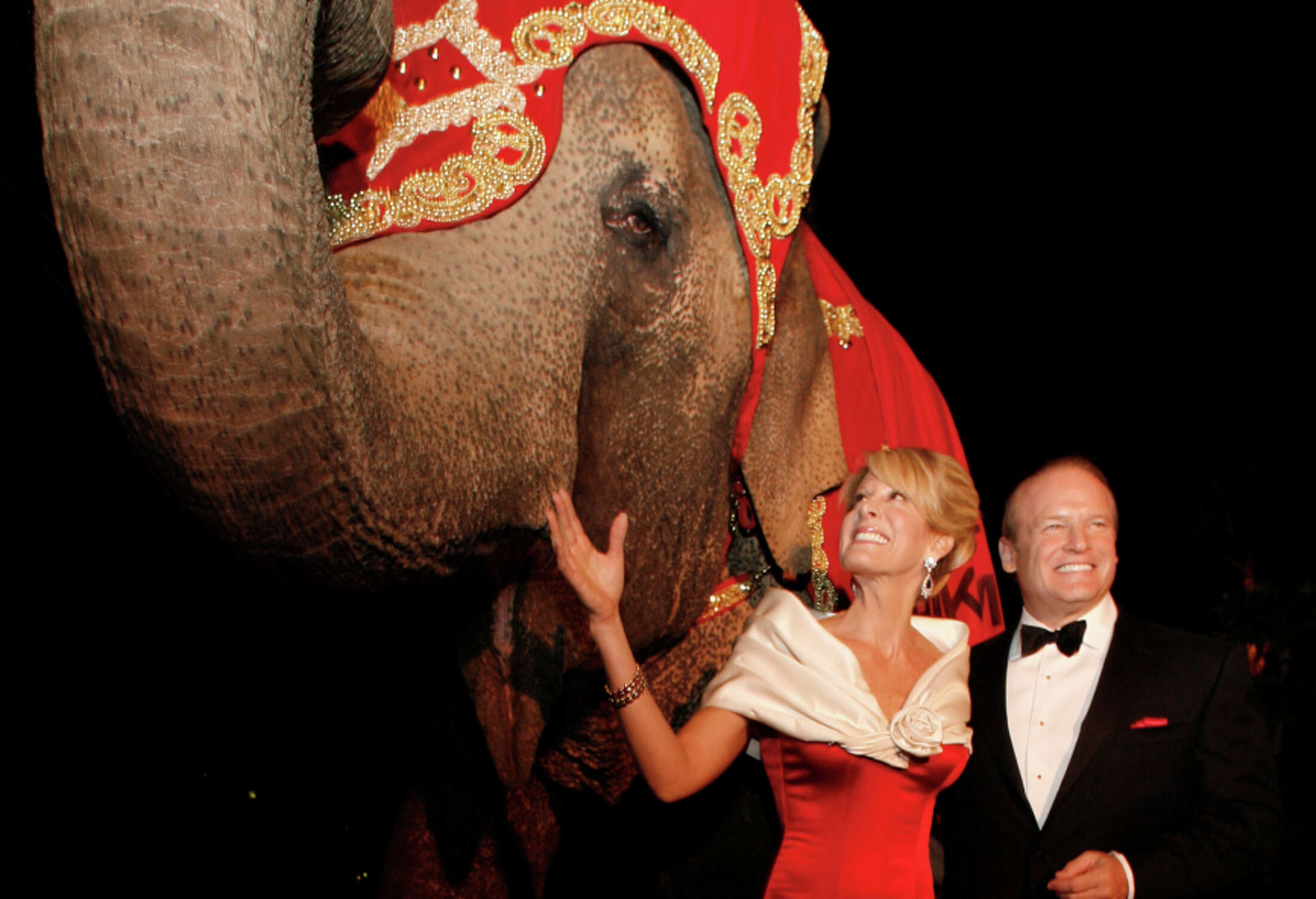 5 unforgettable charity ball themes