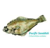 New fish for your table: Updated Seafood Watch recommendations