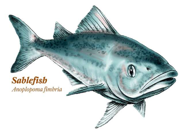 New fish for your table: Updated Seafood Watch recommendations