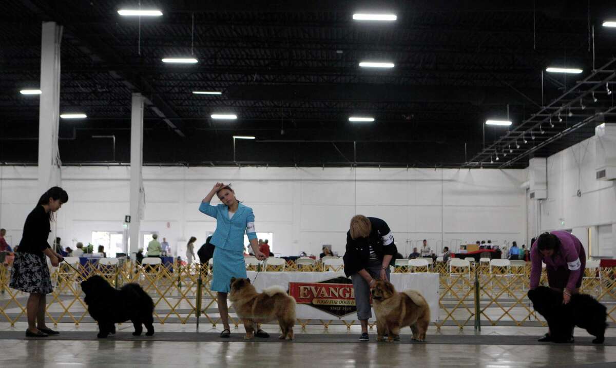 7,000 dogs converge at Alameda County fairgrounds for show