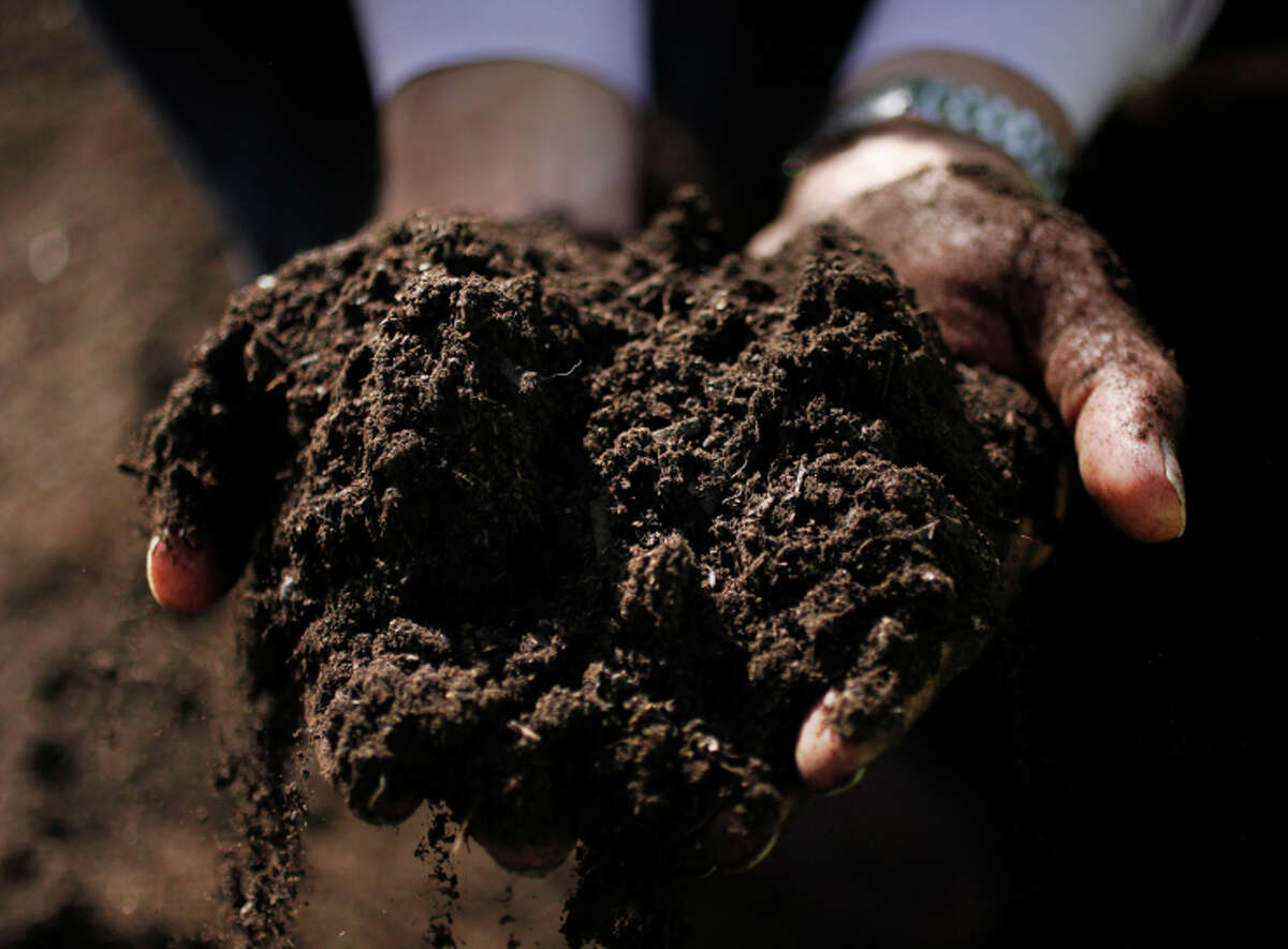 A sprinkle of compost helps rangeland lock up carbon