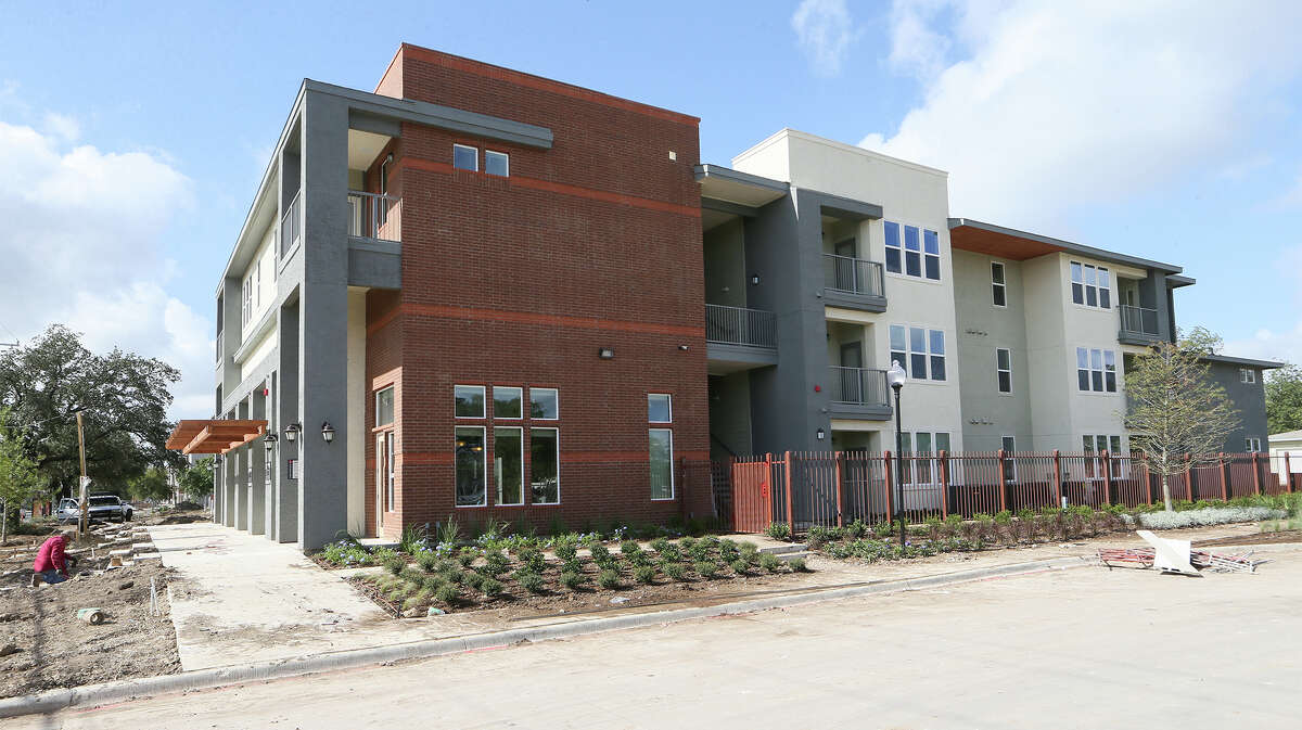 Olive orchard provides hands-on learning at Tejeda Middle School