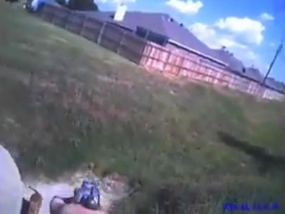 Texas police officer cleared of shooting, killing dog (w/ video)