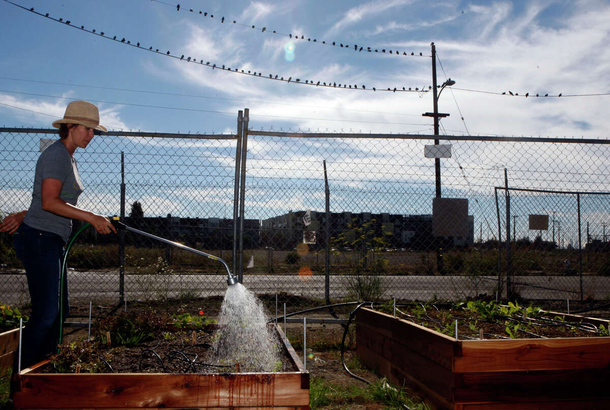 Oakland plowing a path for urban farming on vacant lots