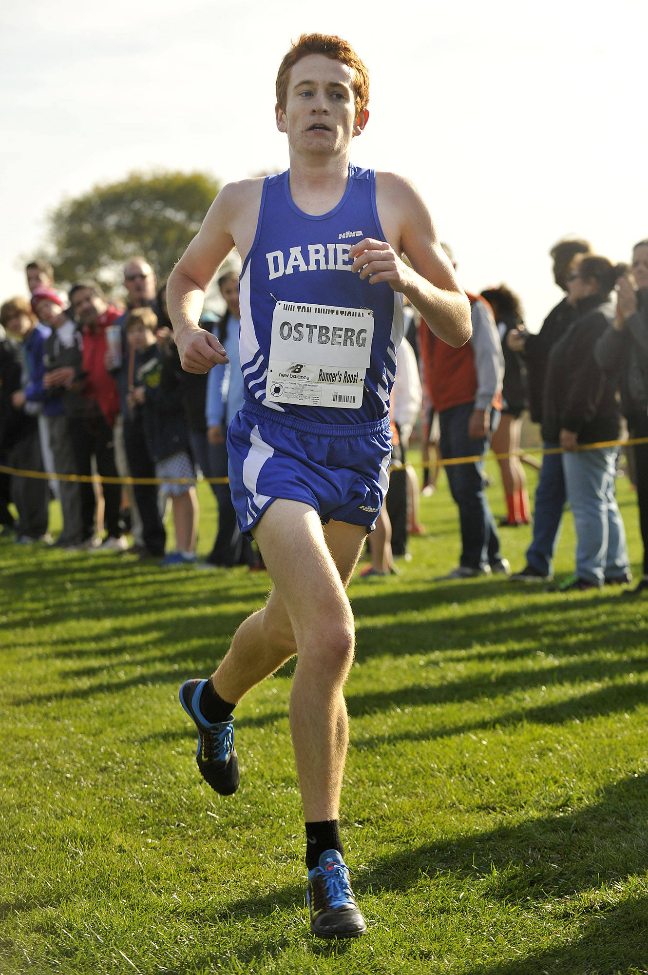 Fairfield Warde fifth, Ludlowe eighth at FCIAC boys cross country meet
