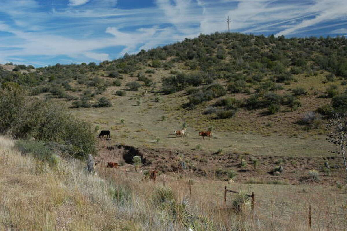 The top 25 landowners in America