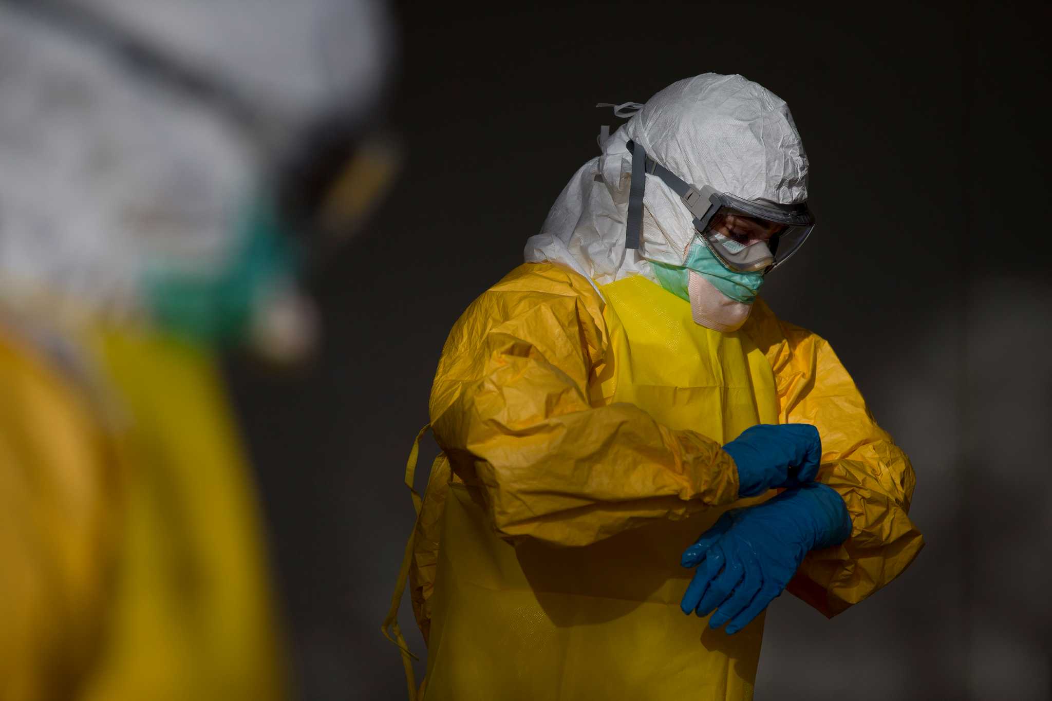 What HIV teaches us about Ebola -- and the next plague