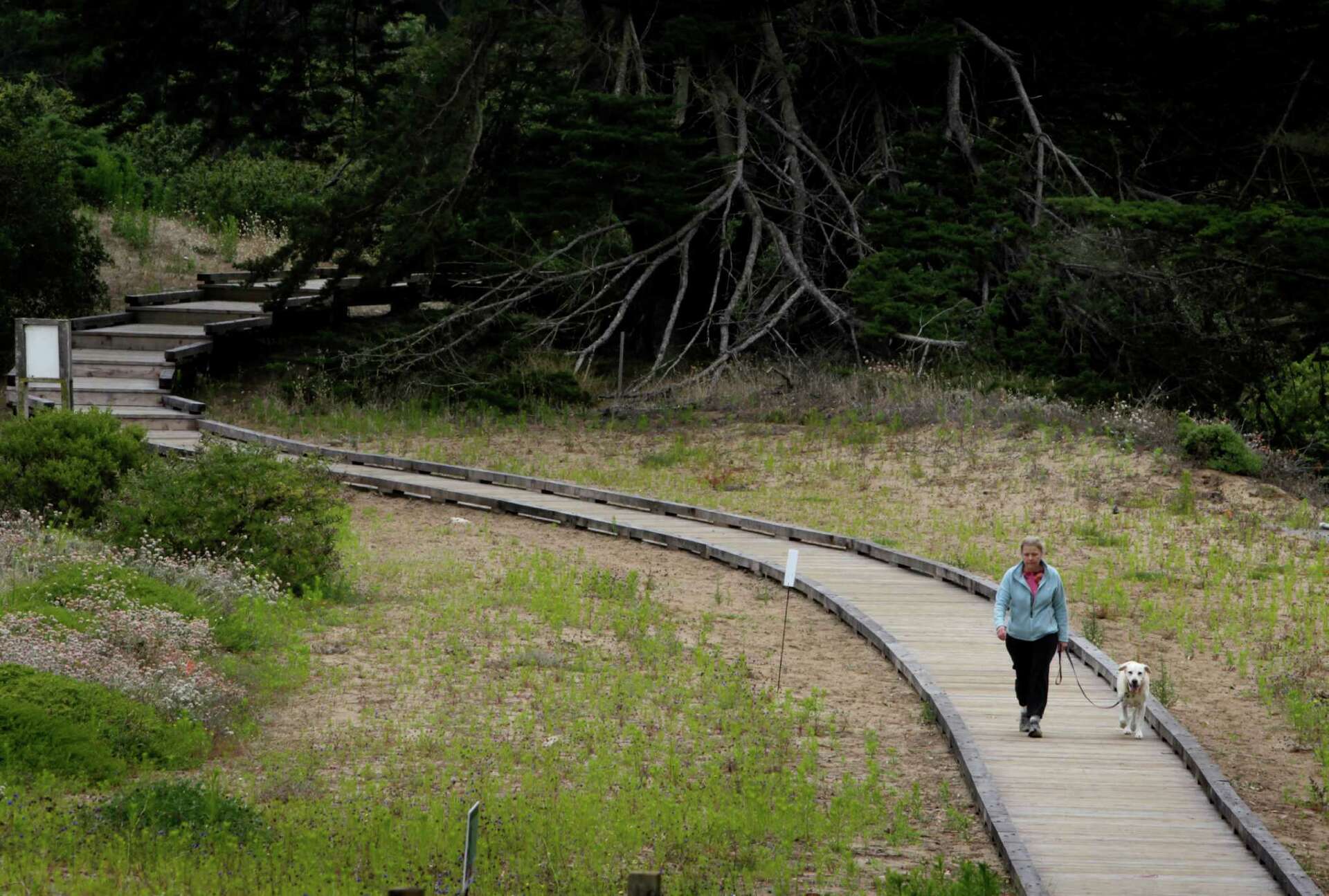 The best spring hikes in the Bay Area