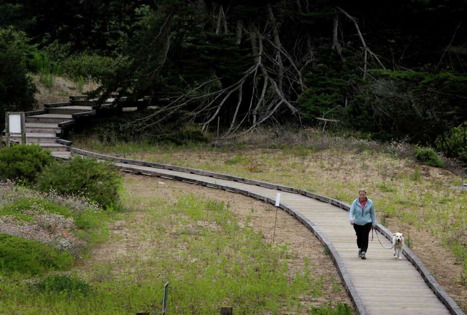 The best spring hikes in the Bay Area