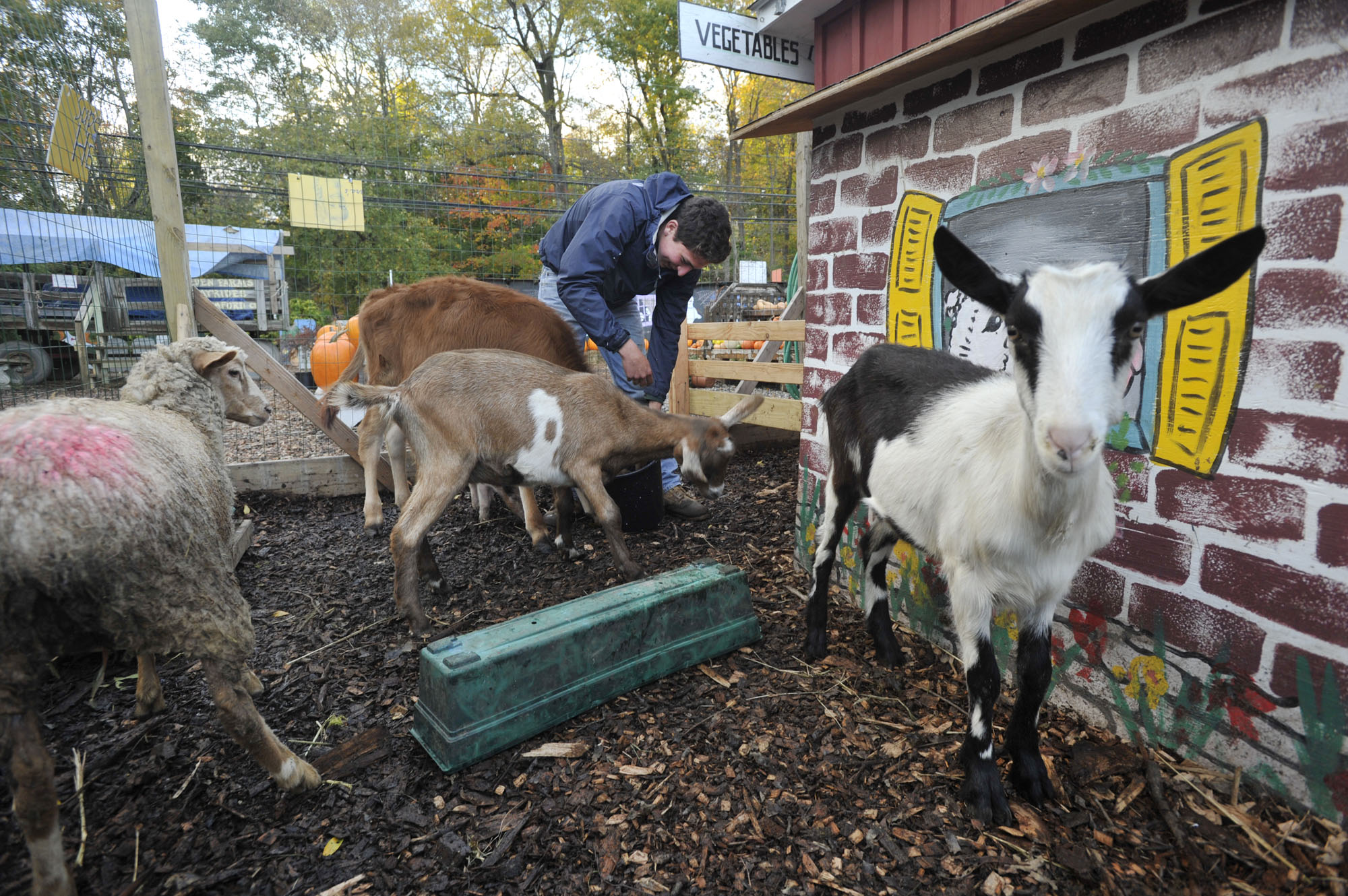 Farm grows community spirit