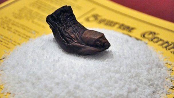 Disgusting cocktails afoot in Yukon