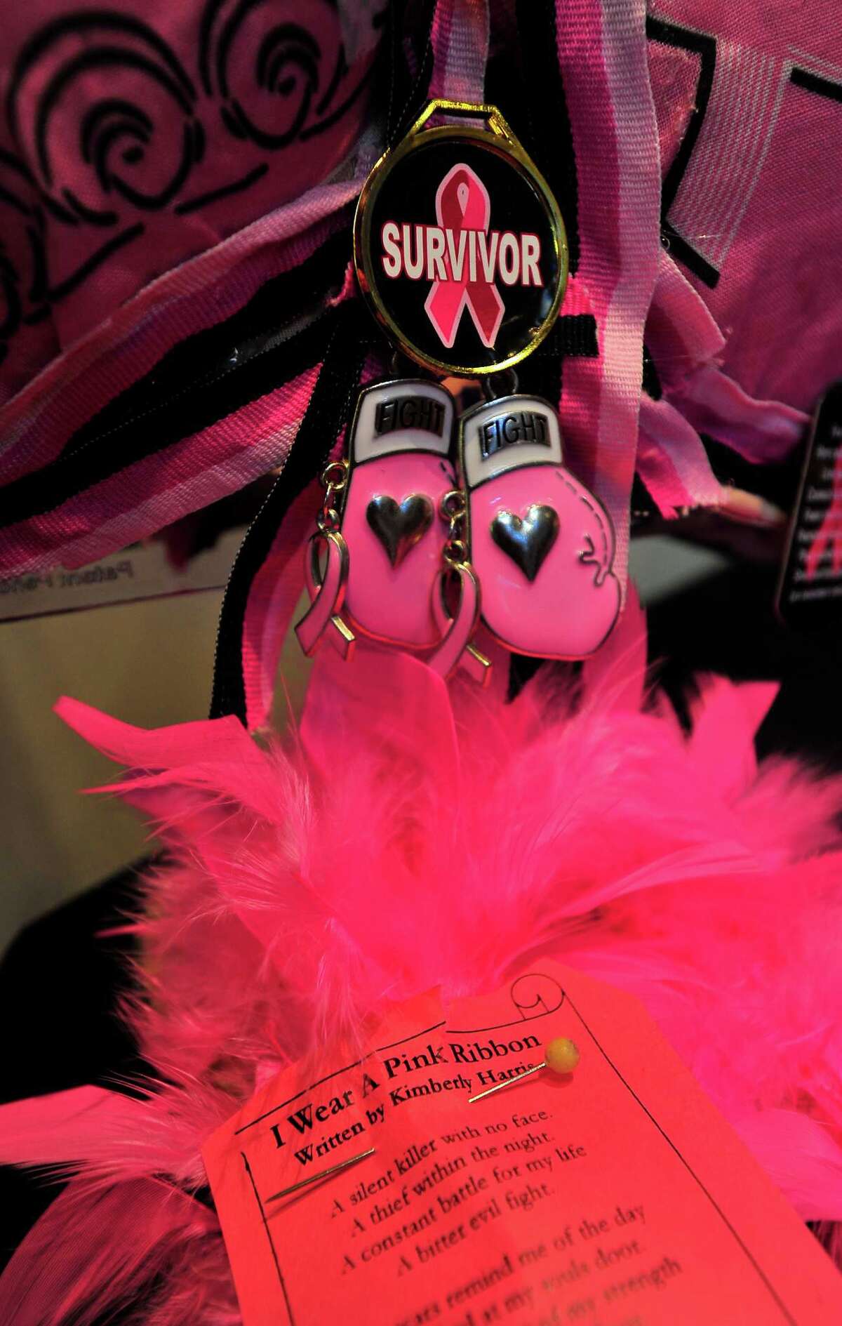 Breast Cancer Awareness Bras