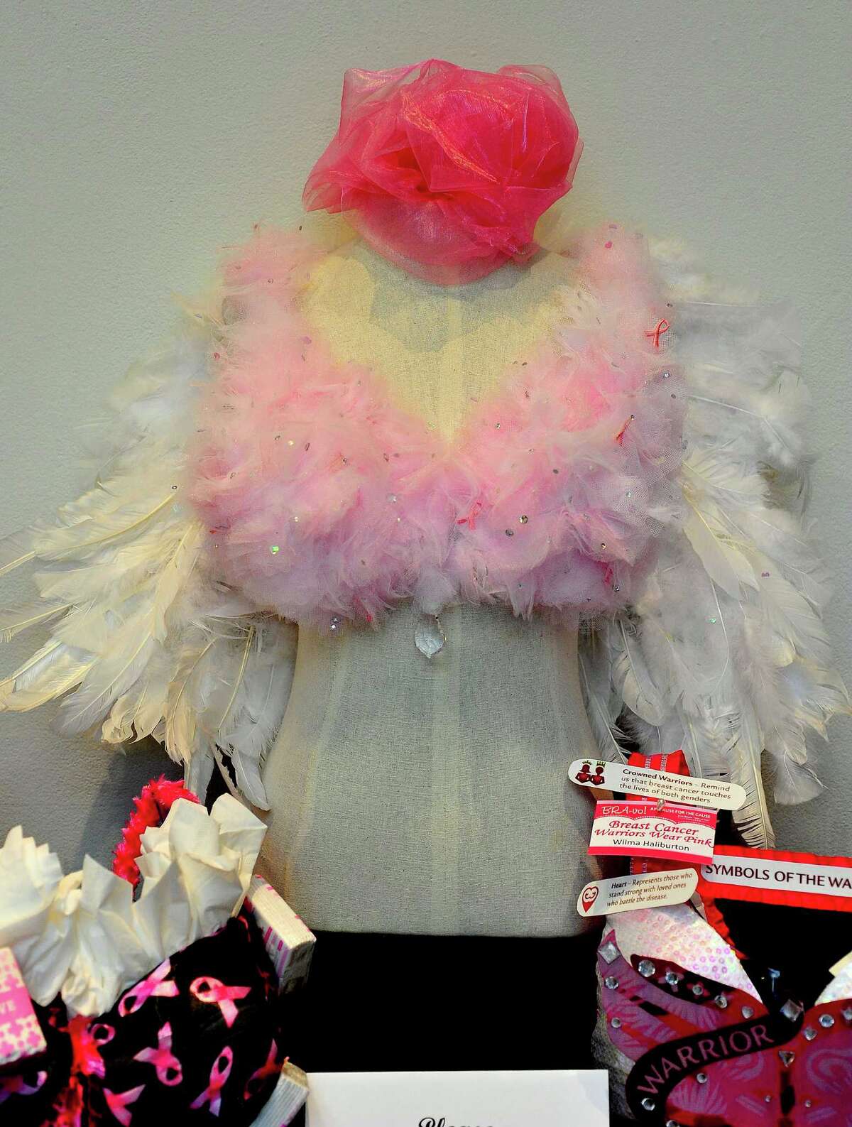 Breast Cancer Awareness Bras
