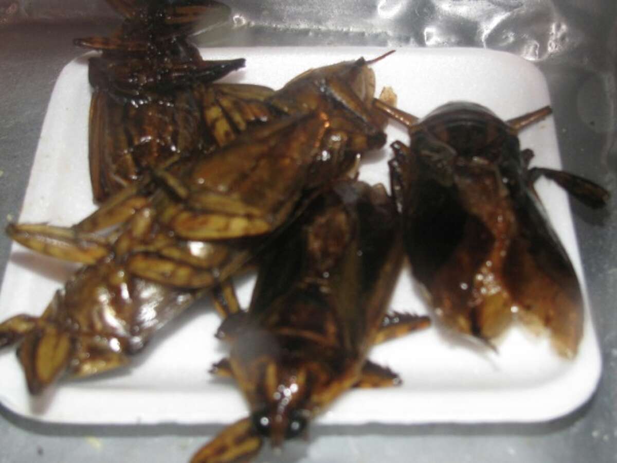 Freaky foods around the world