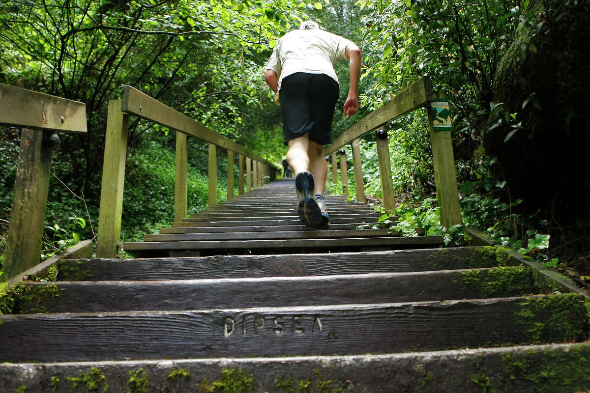 Top 15 S.F. tourist activities for locals #LoveLocalSF